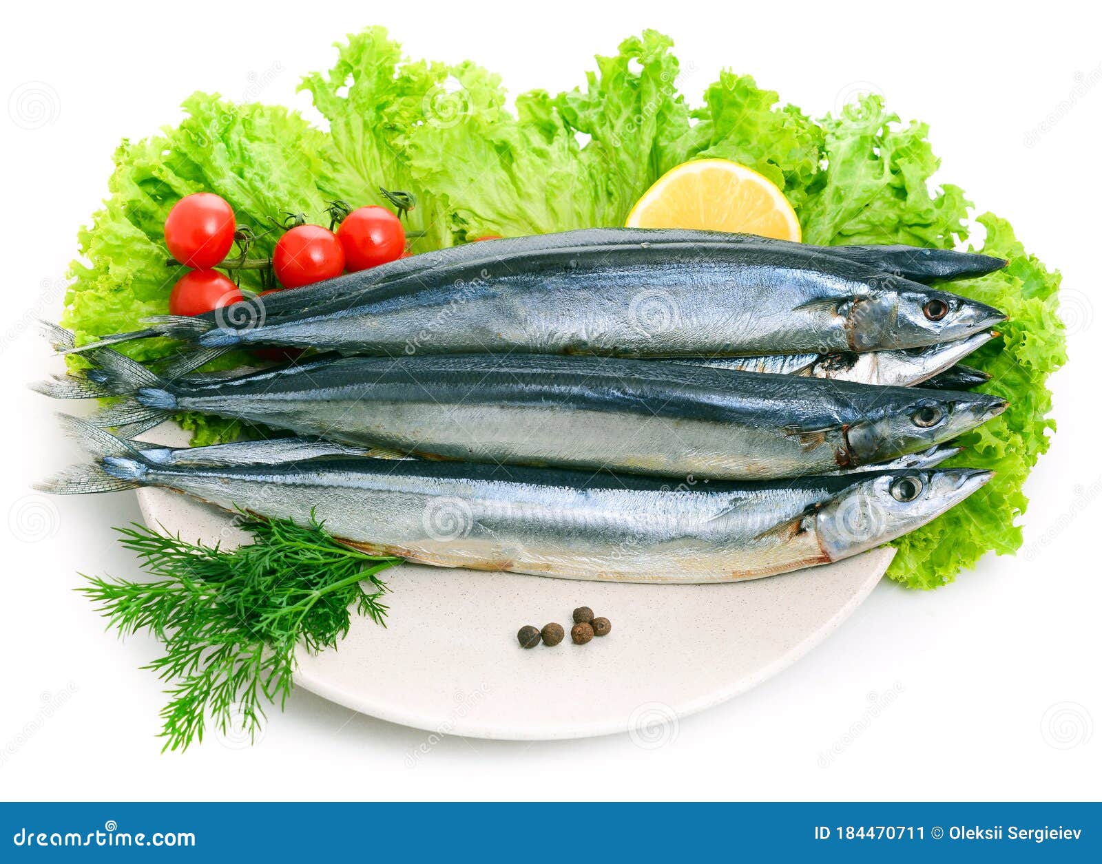 Salty Cololabis saira stock image. Image of norwegian - 184470711