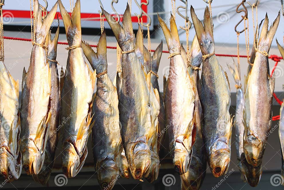 Salty Fish stock image. Image of salt, food, preserved - 17218833