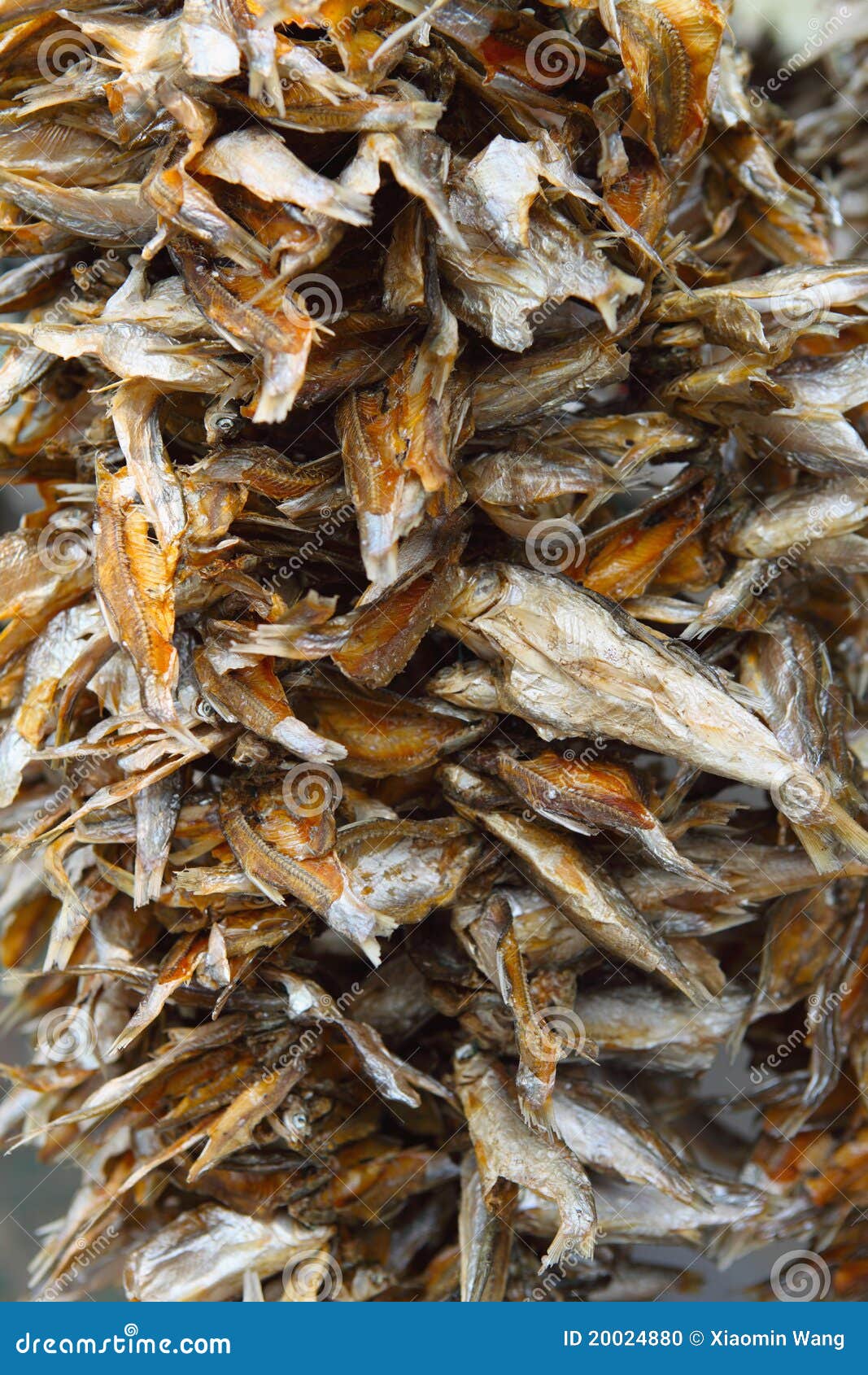 Salty Fish stock photo. Image of kong, fishes, basket - 20024880