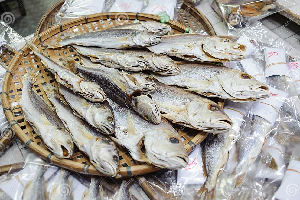 Salty fish stock photo. Image of delicious, healthy, salted - 28184488