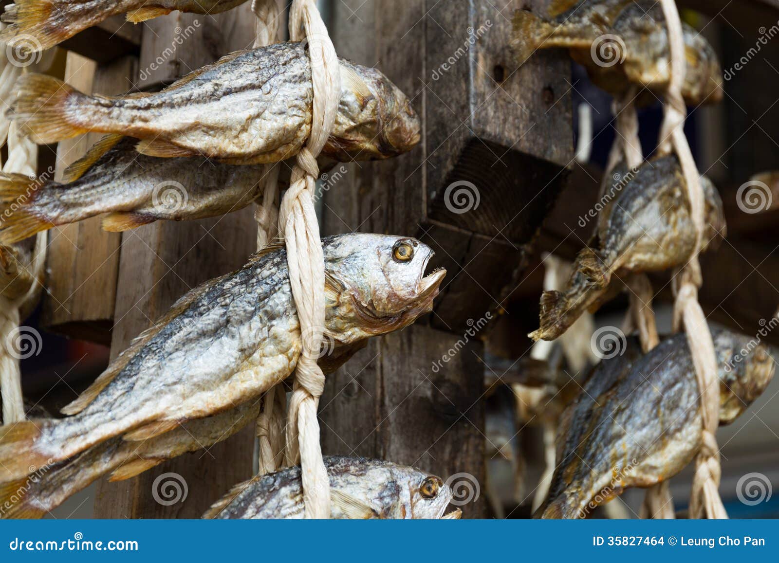 Salty fish stock photo. Image of texture, fish, food - 35827464