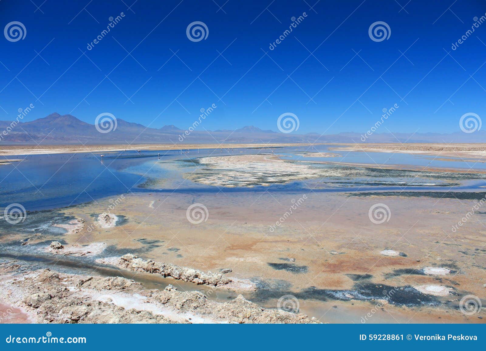 Salty Lake in Atacama Desert Stock Image - Image of pink, salt: 59228861