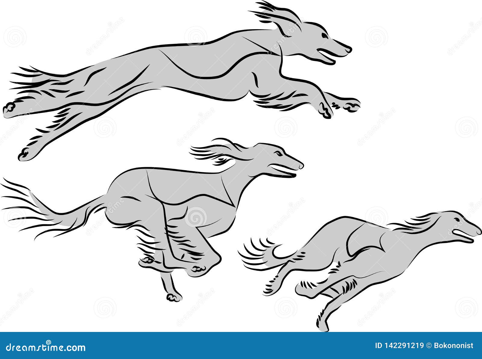 Saluki racing vector stock vector. Illustration of running - 142291219