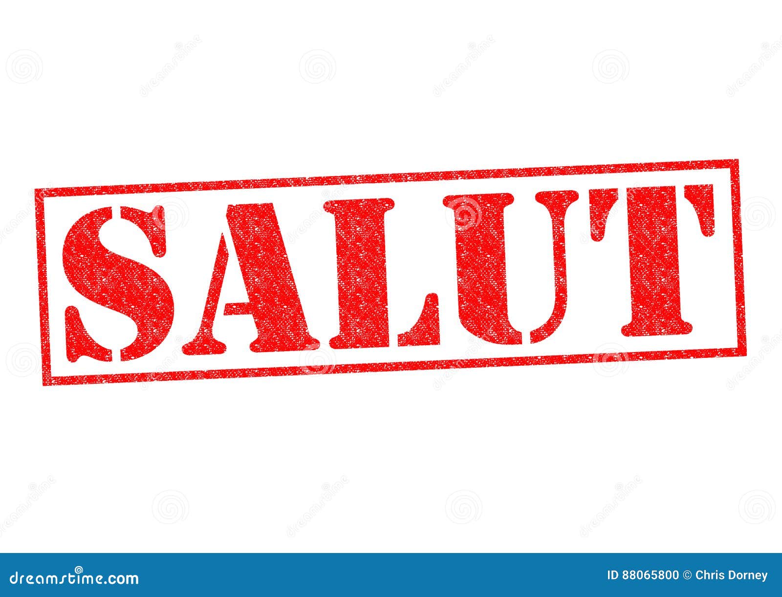 Salut Sign On Colorful Cut Ribbon Confetti Background Vector ...