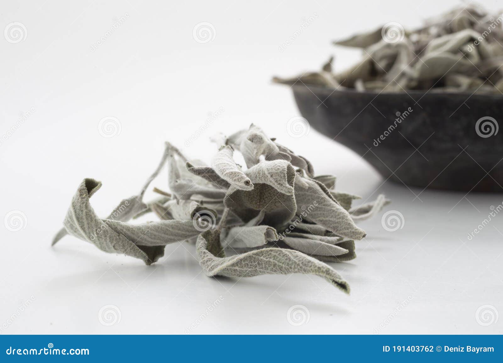 Salvia Seca En Suelo Blanco Foto de archivo - Imagen de tierra, primer ...