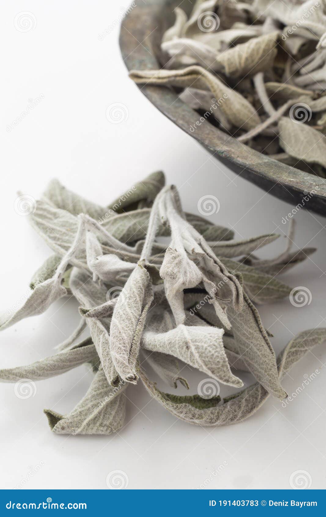 Salvia Seca En Suelo Blanco Imagen de archivo - Imagen de dieta ...