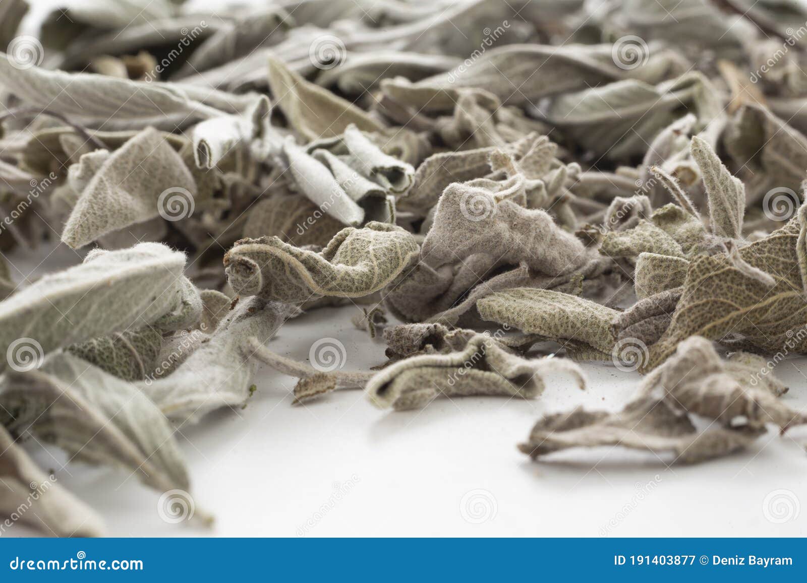 Salvia Seca En Suelo Blanco Imagen de archivo - Imagen de caliente ...