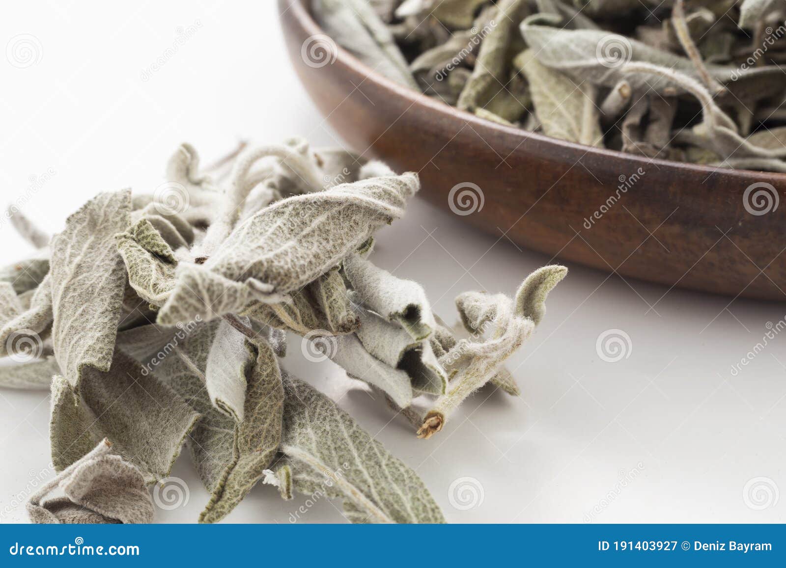 Salvia Seca En Suelo Blanco Imagen de archivo - Imagen de concepto ...