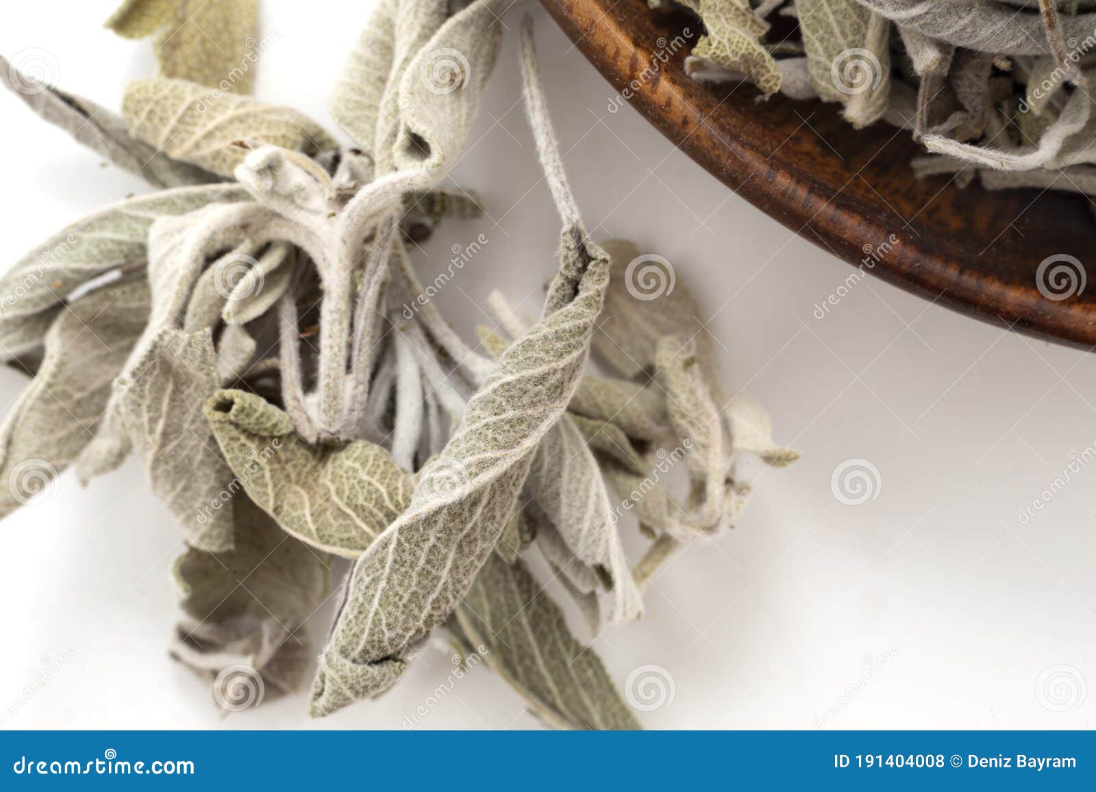 Salvia Seca En Suelo Blanco Foto de archivo - Imagen de estudio, bebida ...