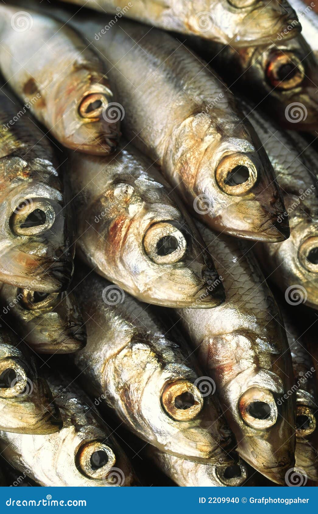 Salzige Heringe stockfoto. Bild von feinschmecker, schwarzes - 2209940