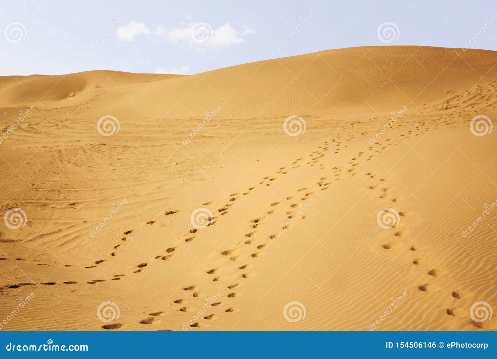 Sam Sand Dunes, Jaisalmer, Rajasthan, India Stock Photo - Image of ...