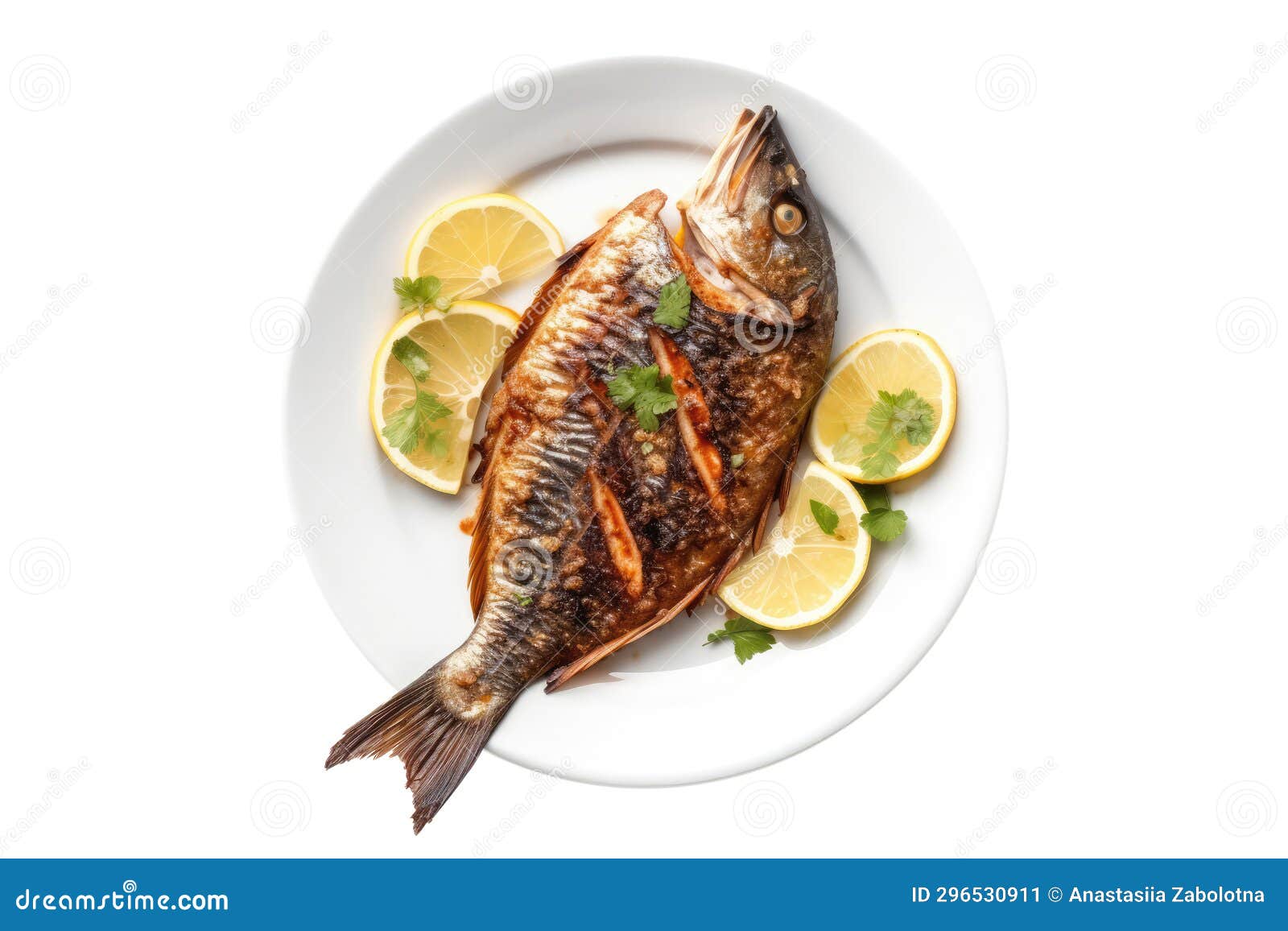 Samak Stock Illustrations – 1 Samak Stock Illustrations, Vectors ...