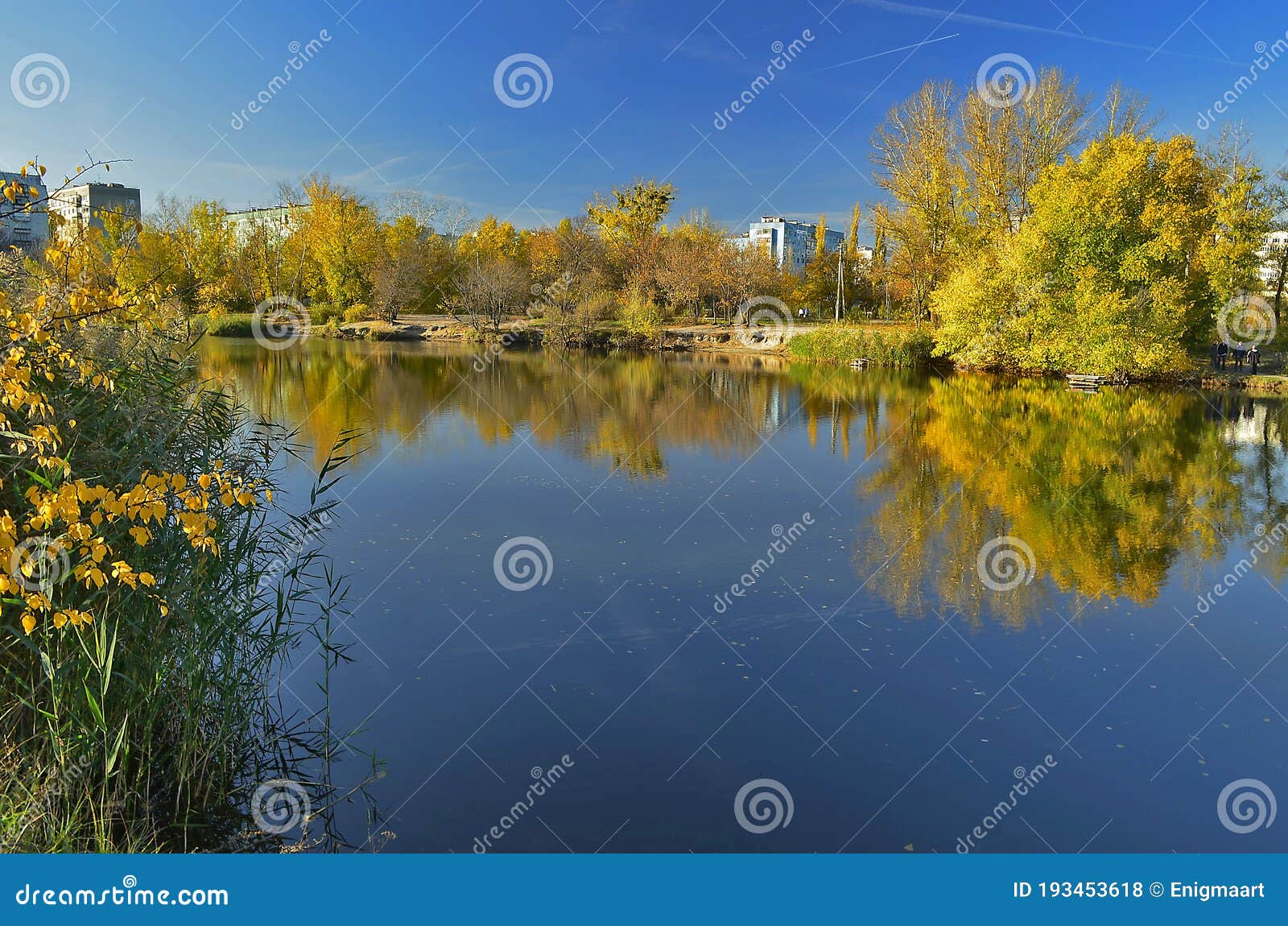 Samara River in Ukraine, the Left Tributary of the Dnieper . Stock ...