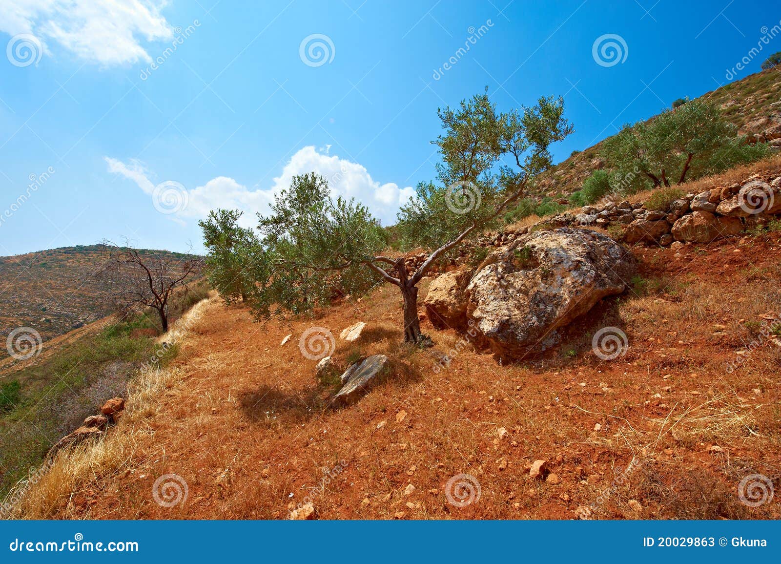 Samaria stock image. Image of fruit, landscape, dirt - 20029863