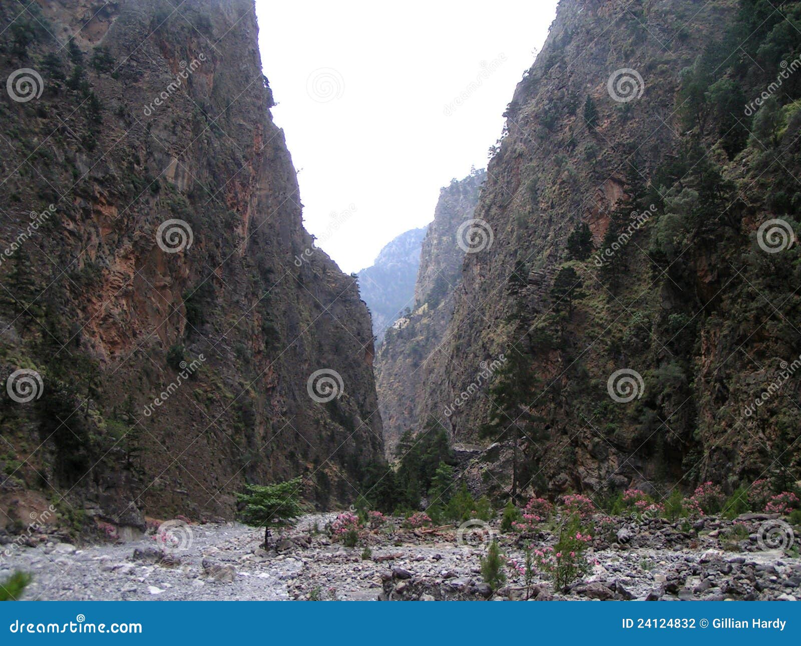 Samaria Gorge Crete stock photo. Image of geological - 24124832