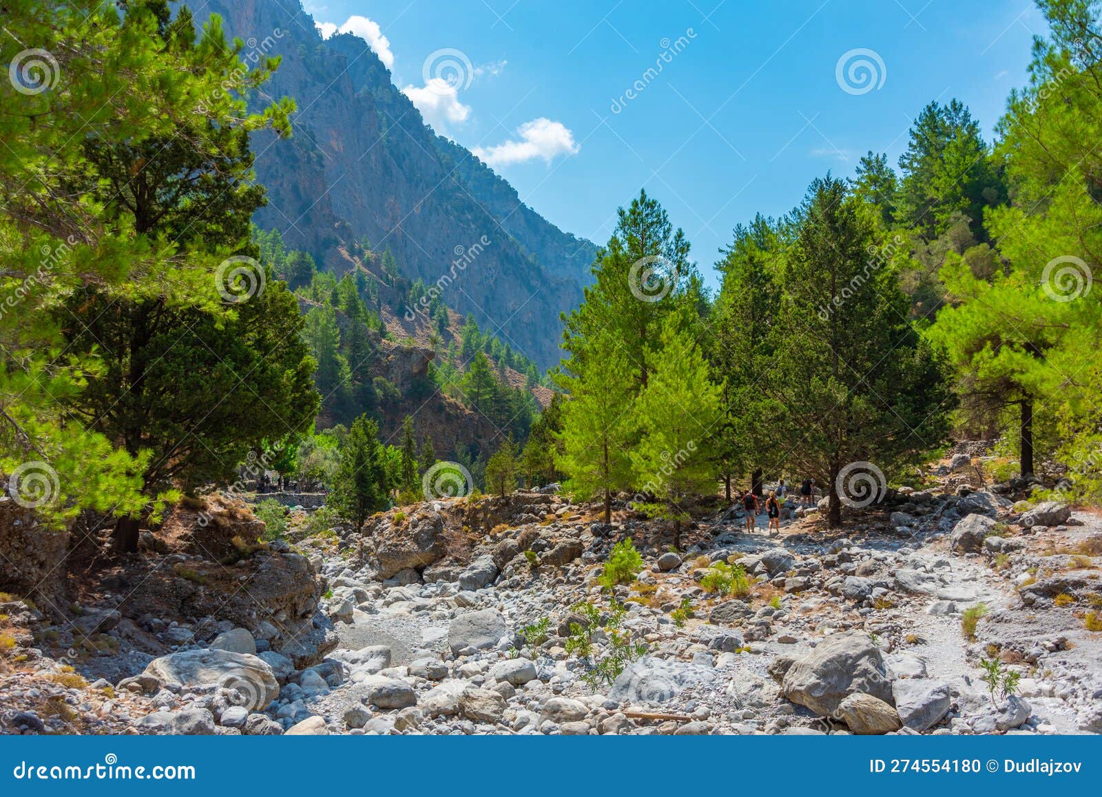 Samaria Gorge at Greek Island Crete Stock Photo - Image of tree ...