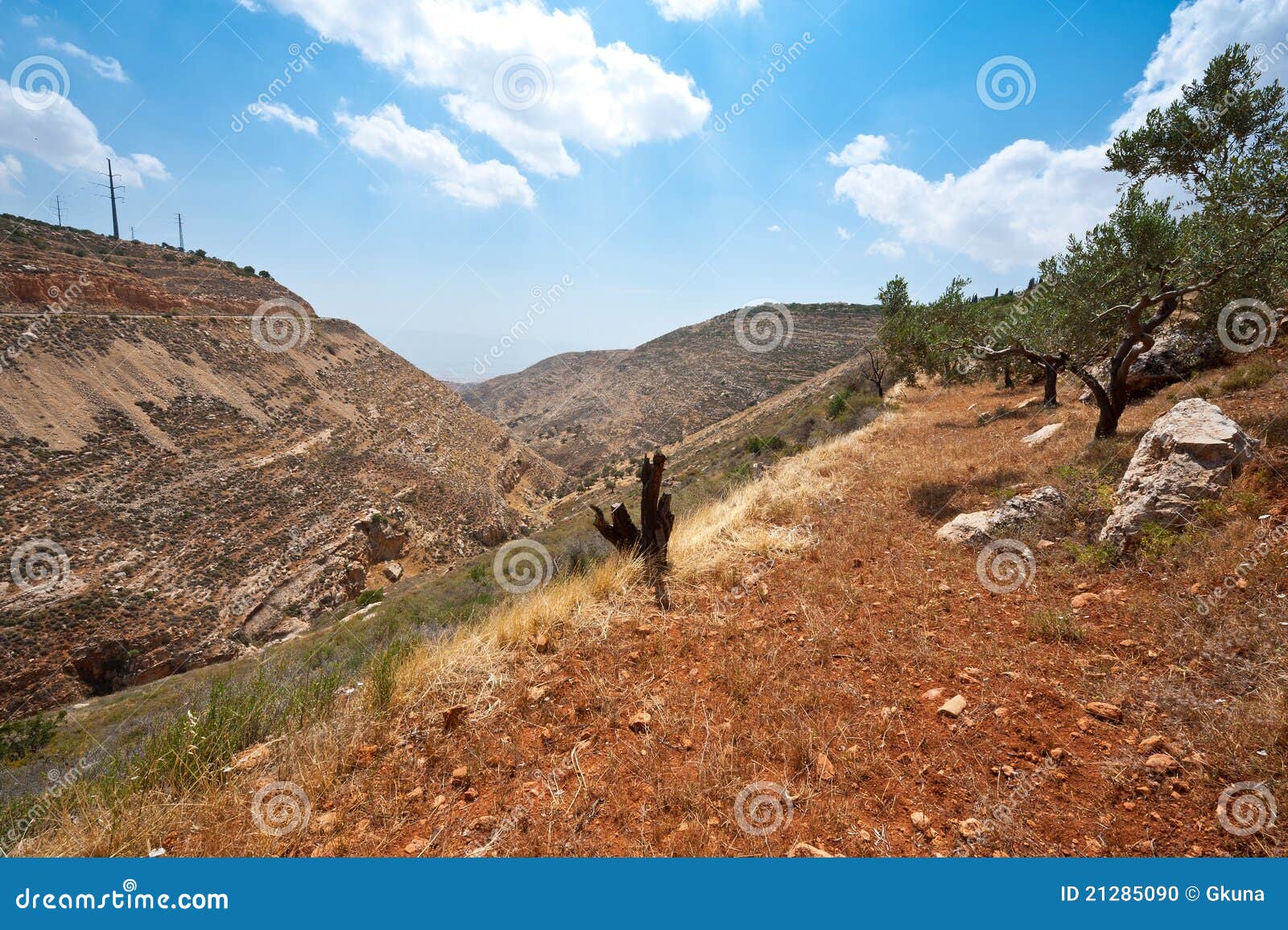 Samaria, Israel stock photo. Image of ecology, country - 21285090