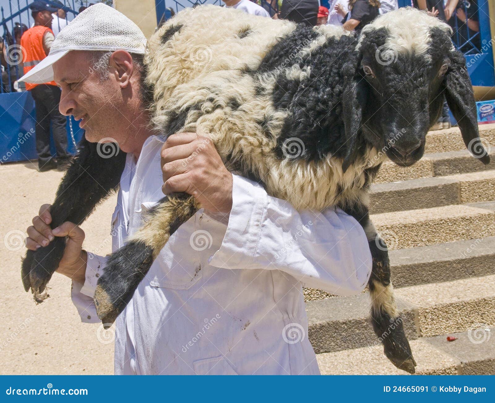 Samaritan Passover Sacrifice Editorial Photo - Image of slaughter ...