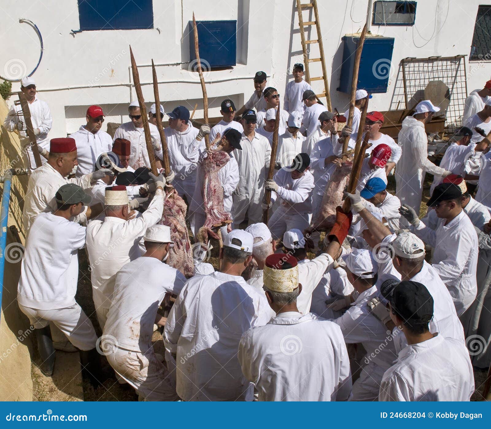 Samaritan Passover Sacrifice Editorial Stock Image - Image of nablus ...