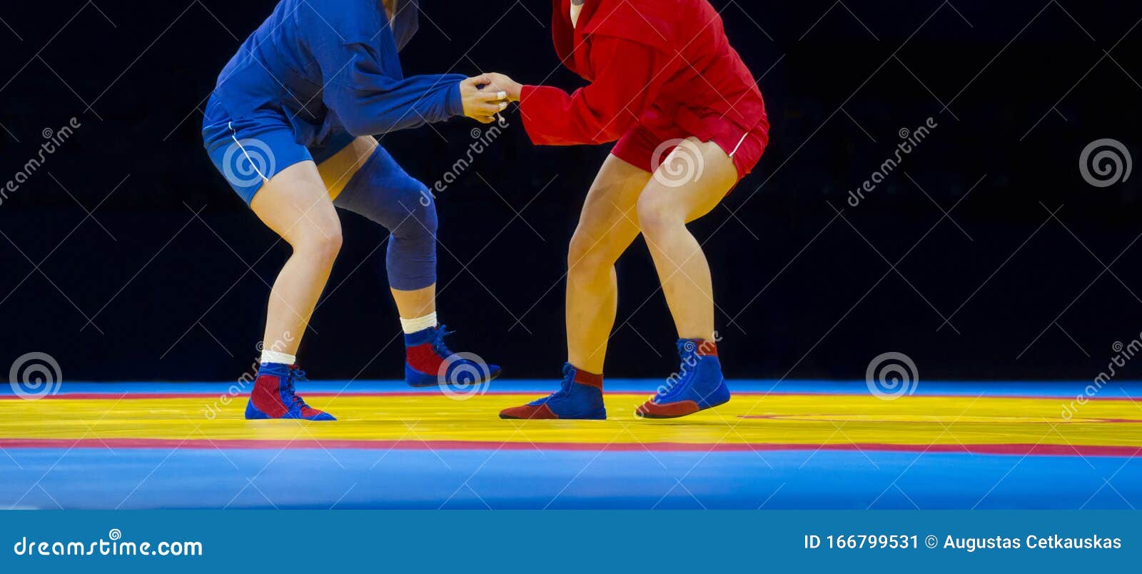 Sambo Fighter Attacking His Opponent with Leg Technique Stock Image ...