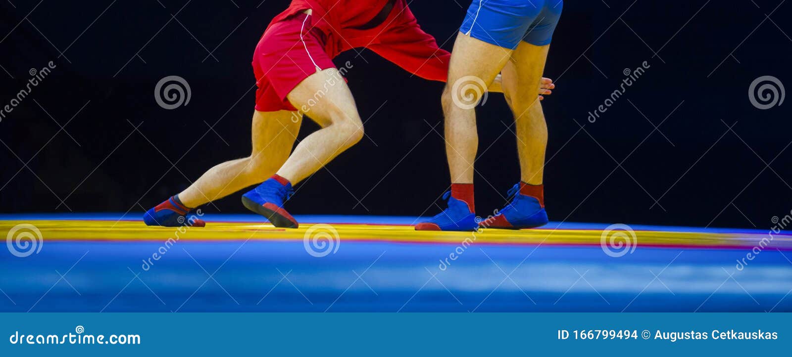 Sambo Fighter Attacking His Opponent with Leg Technique Stock Photo ...