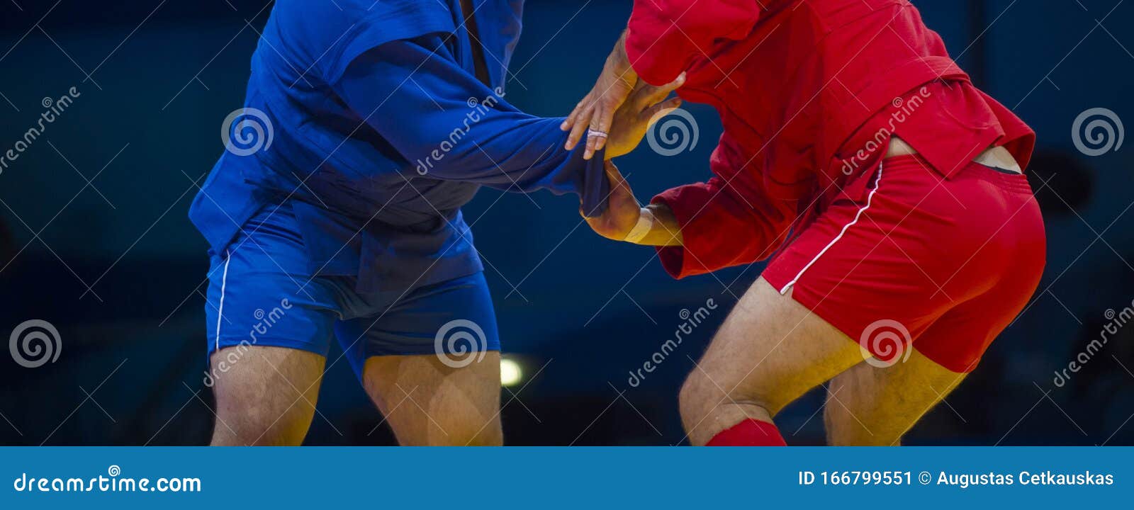 Sambo Fighter Attacking His Opponent with Leg Technique Stock Image ...