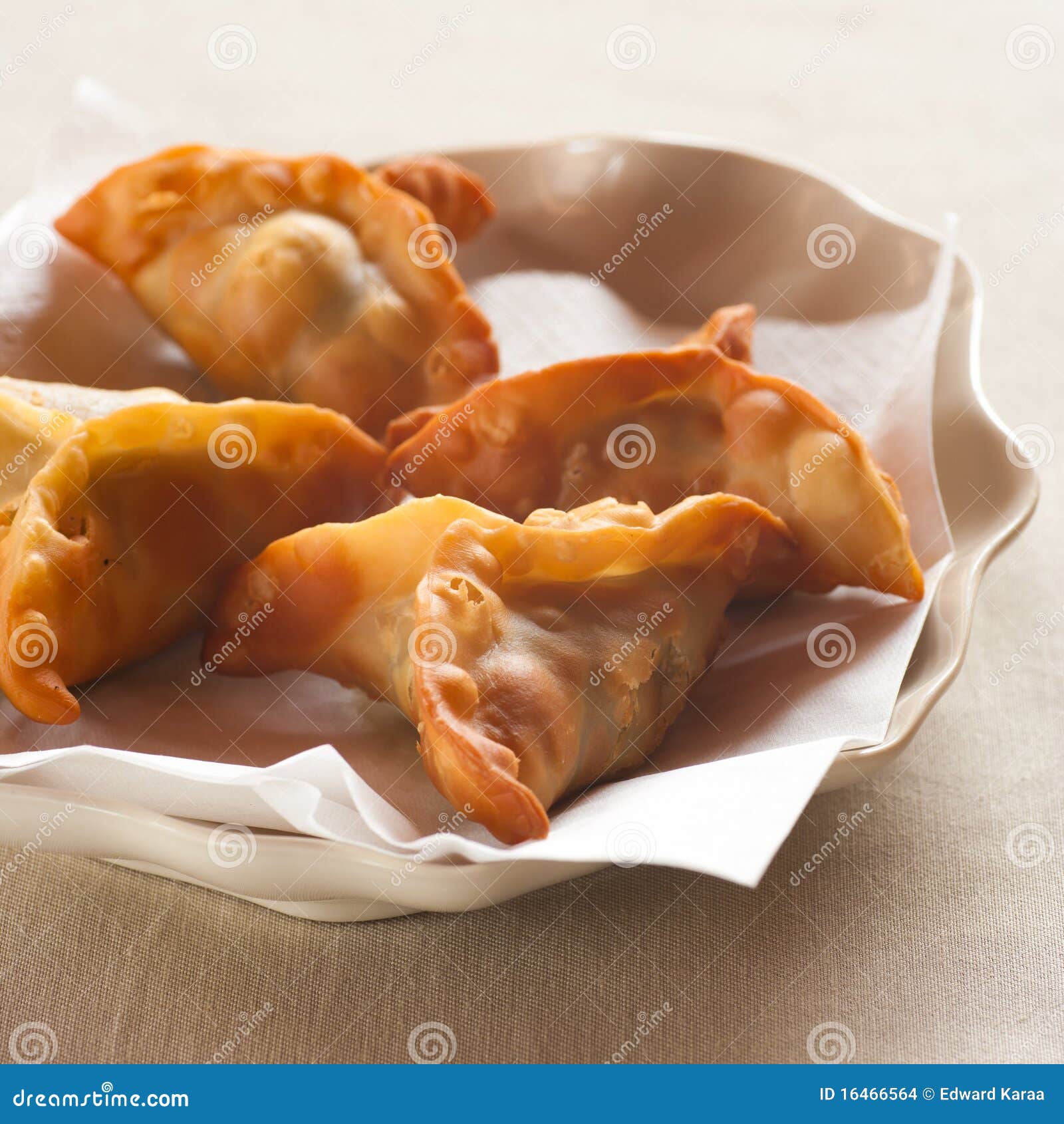 Sambusah Lamb stock photo. Image of cuisine, mediterranean - 16466564