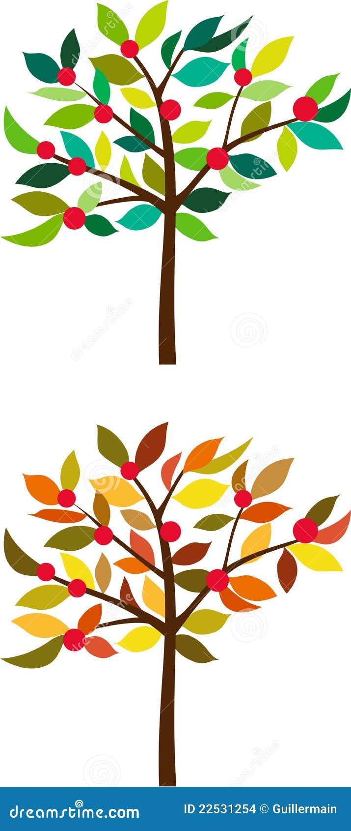 Same Tree in Different Seasons Stock Vector - Illustration of summer ...