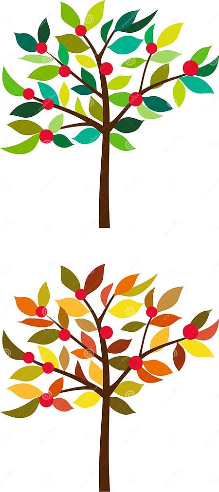 Same Tree in Different Seasons Stock Vector - Illustration of summer ...