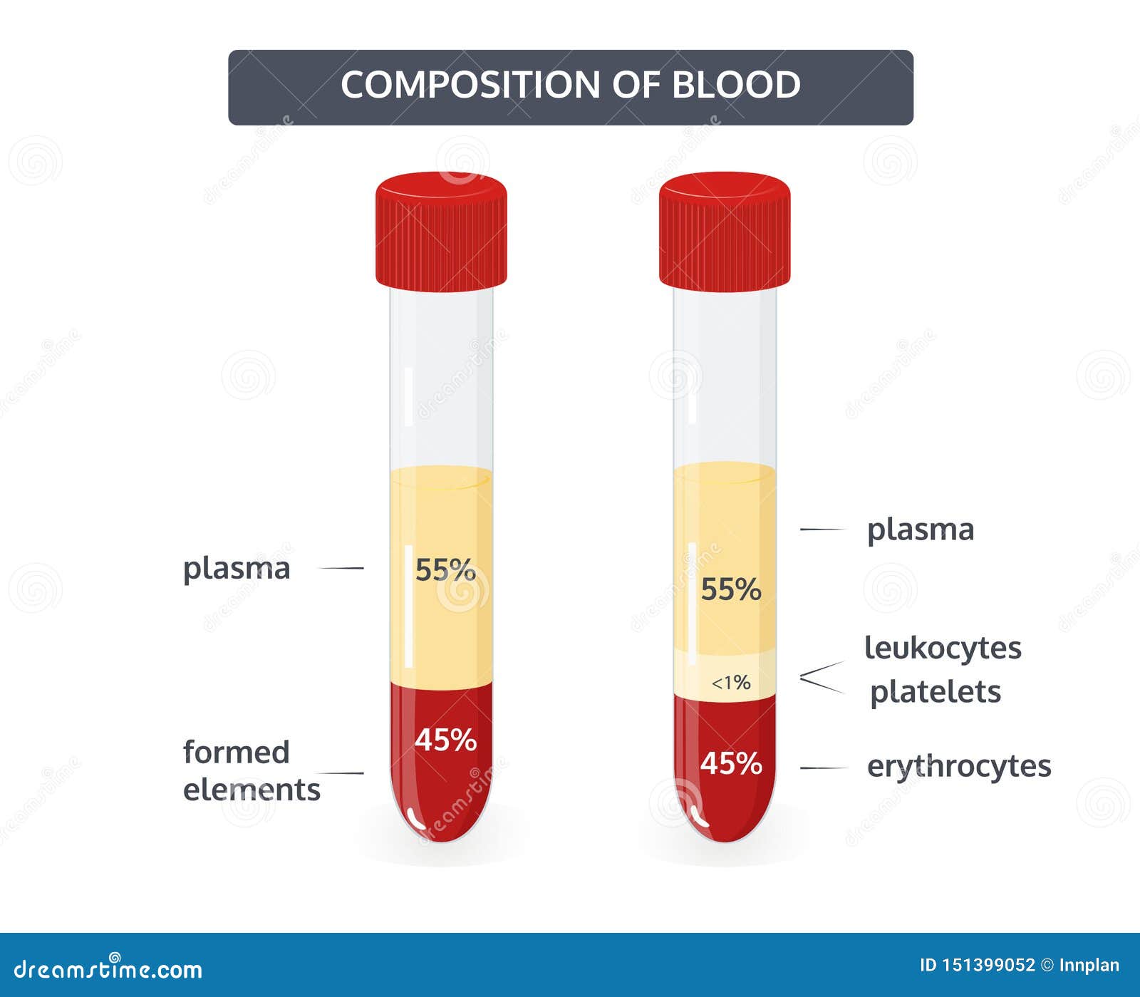 Samenstelling Van Bloed in Buis Vector Illustratie - Illustration of ...