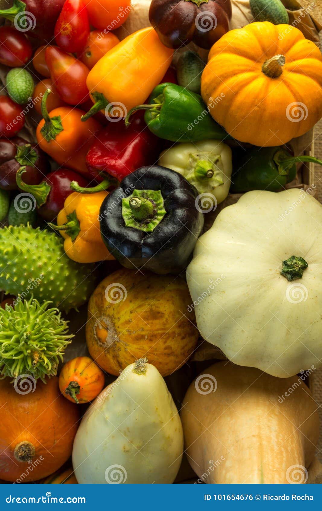 Samenstelling Van Verschillende Groenten Stock Foto - Image of ...