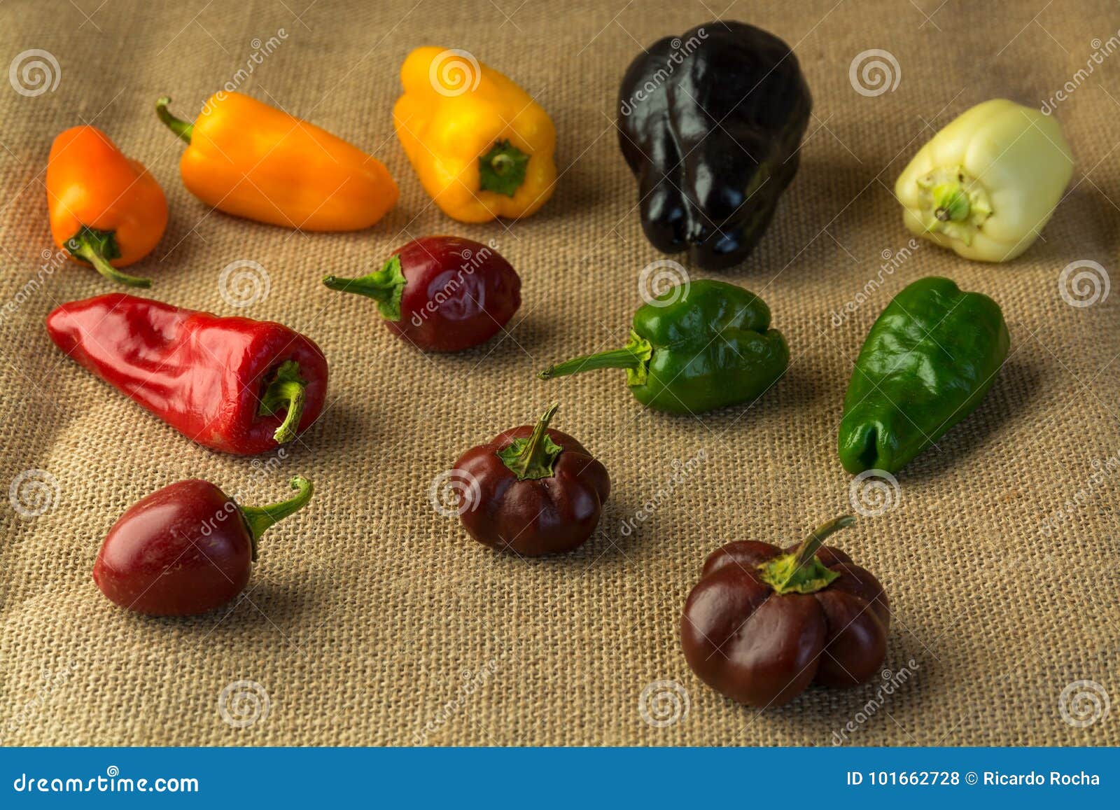 Samenstelling Van Verschillende Groenten Stock Foto - Image of ...