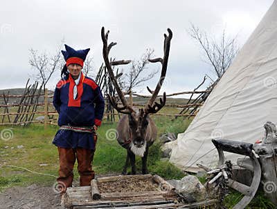 Sami editorial stock image. Image of reindeer, outdoor - 19124619