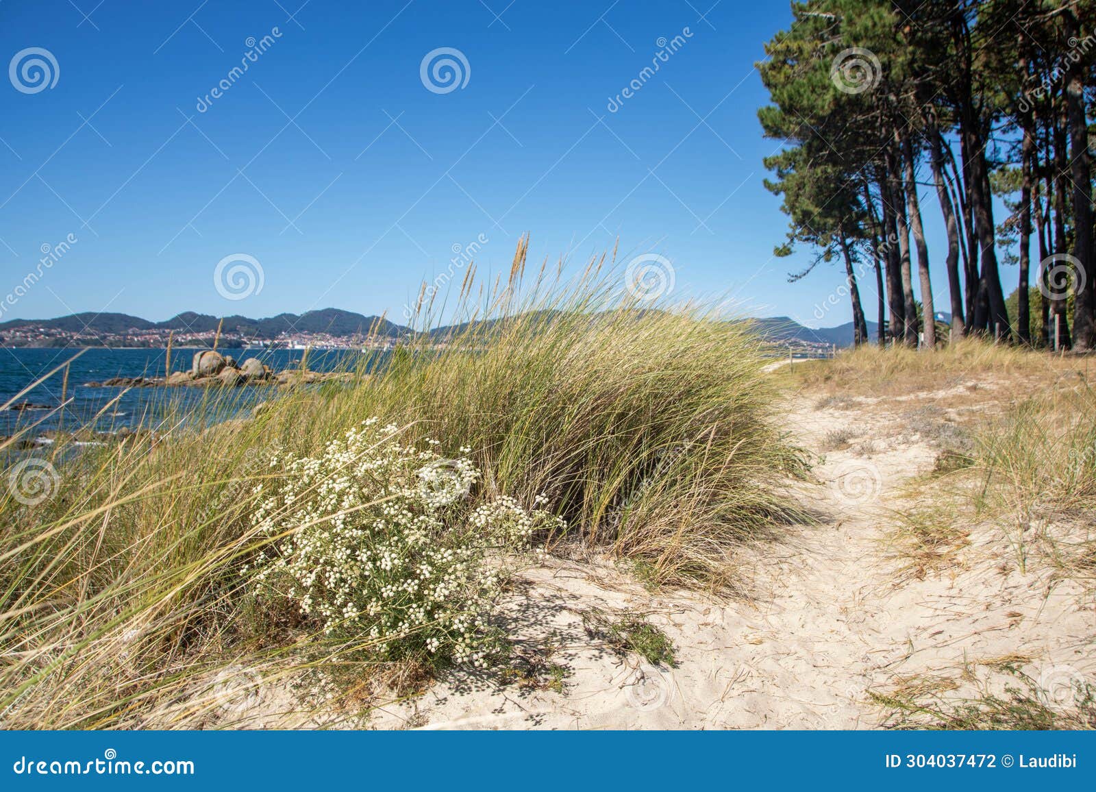 Samil Beach at Vigo in Galicia Stock Photo - Image of pontevedra ...