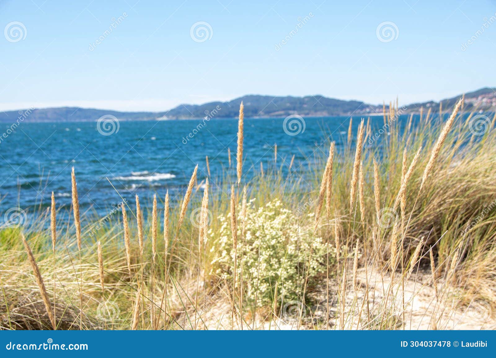 Samil Beach at Vigo in Galicia Stock Photo - Image of galicia ...