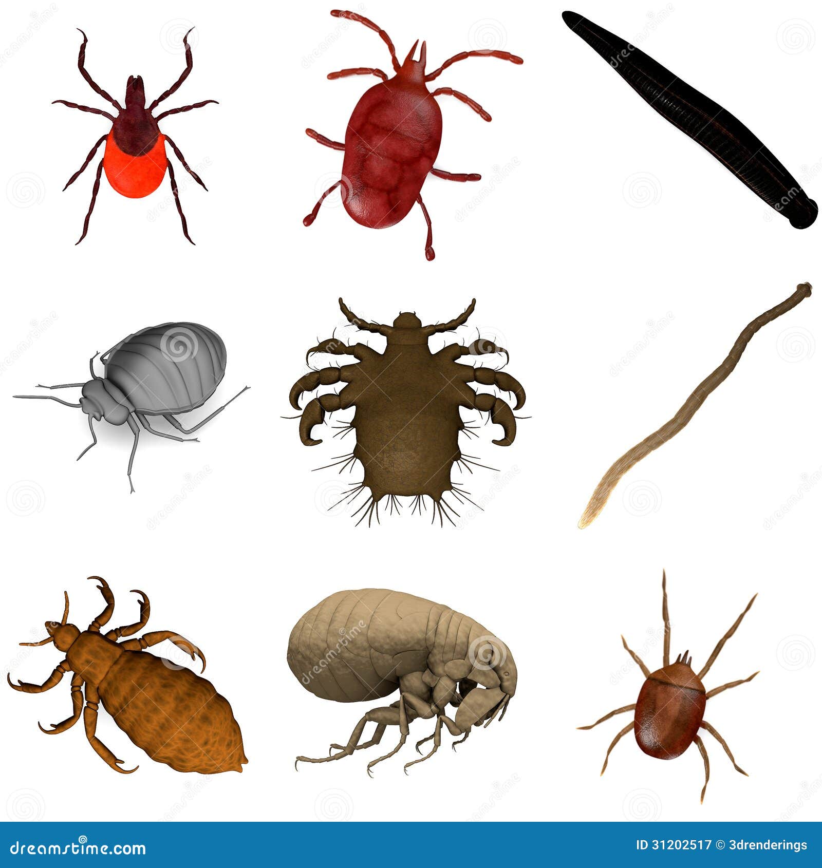 Samling av parasit stock illustrationer. Illustration av lejon - 31202517