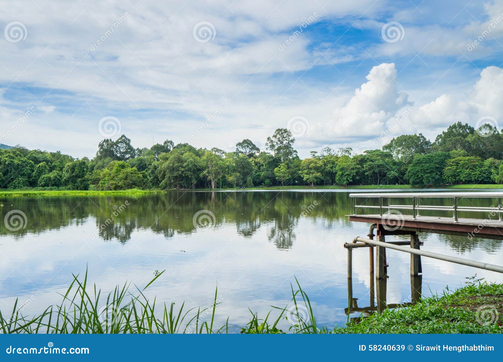 Samll Lake and Little Bridge Stock Image - Image of inlet, moody: 58240639