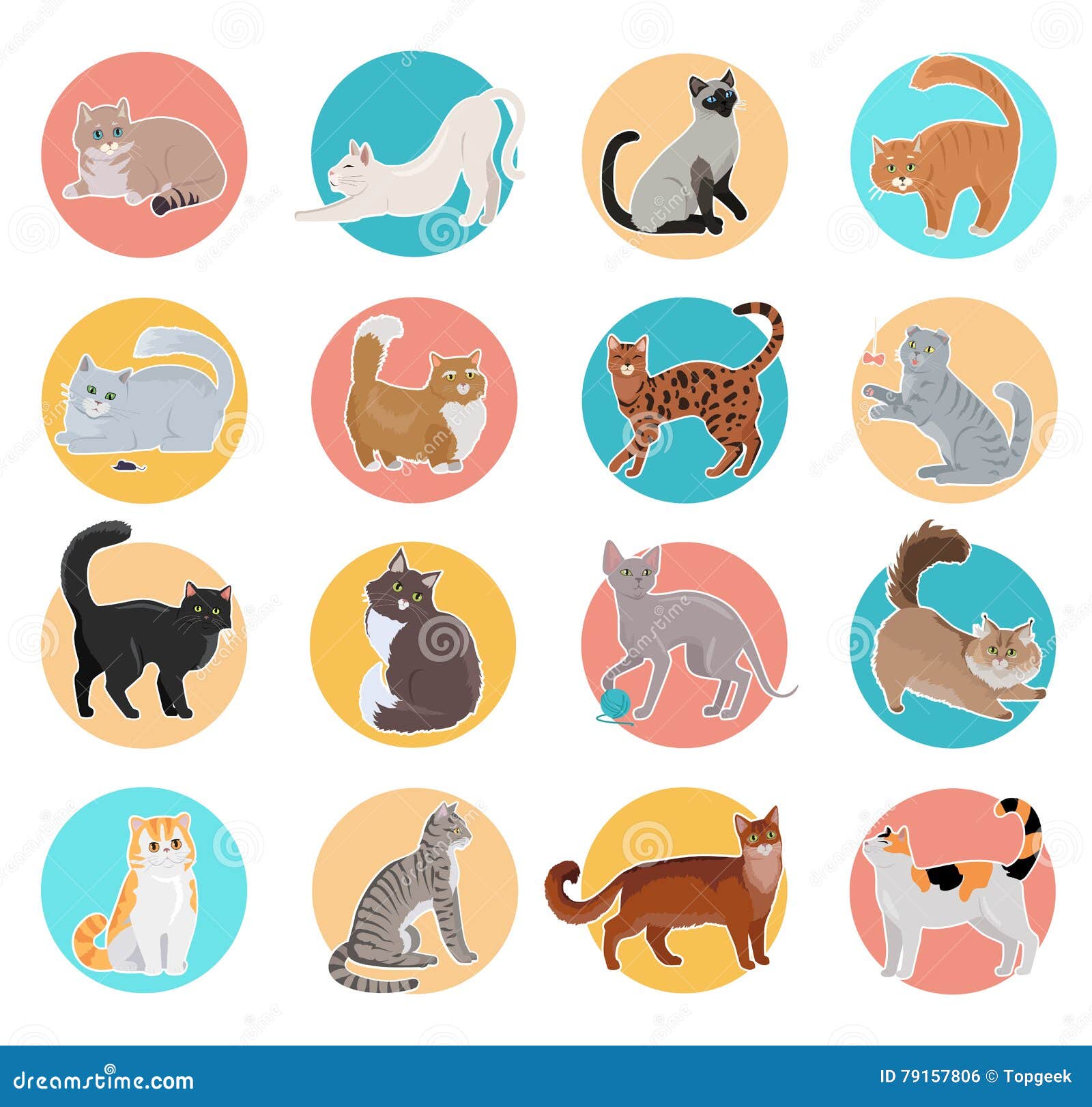 Sammlung Ikonen Mit Katze Im Flachen Design Vektor Abbildung ...