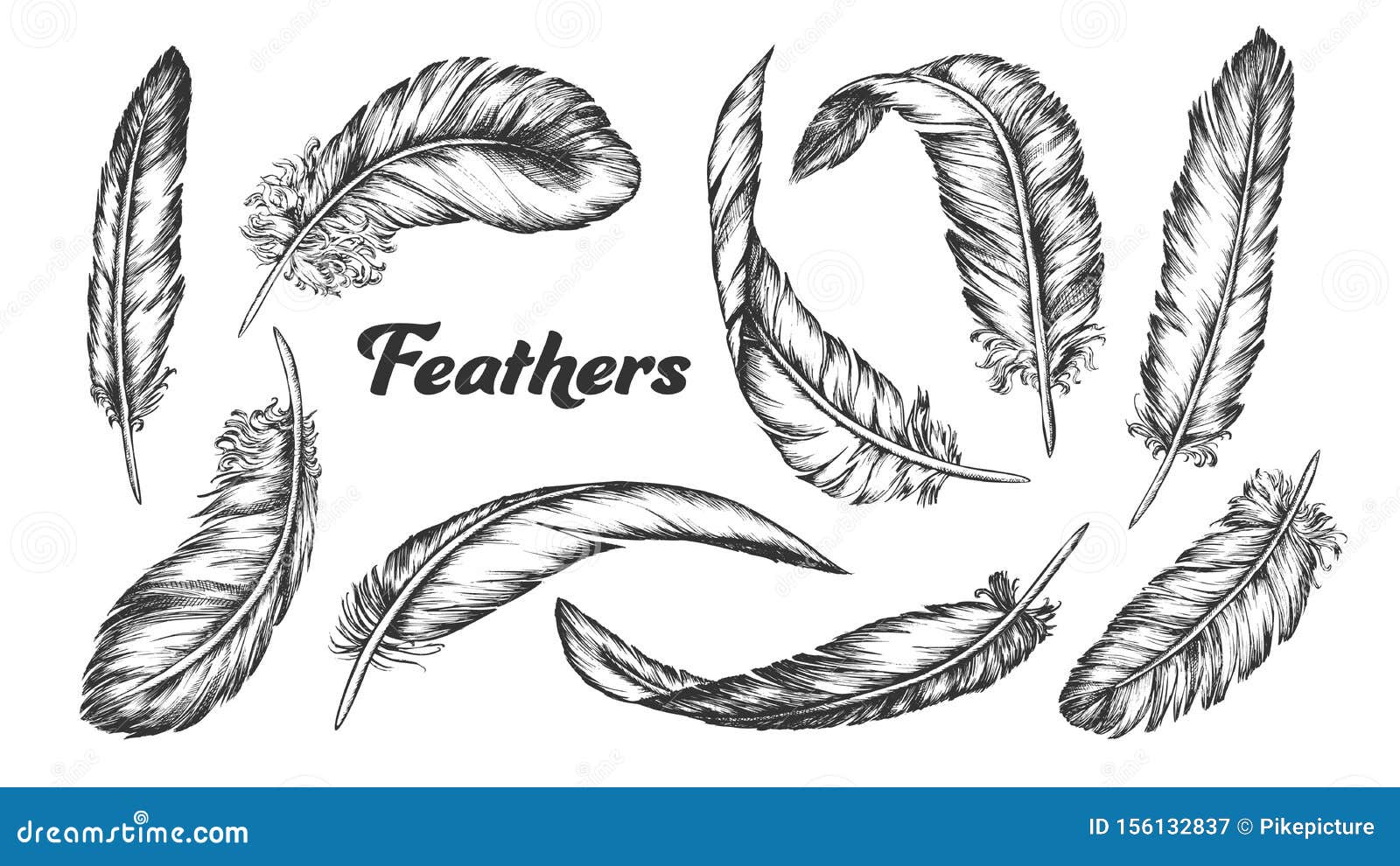Sammlung Verschiedener Federn Set Ink Vector Vektor Abbildung ...