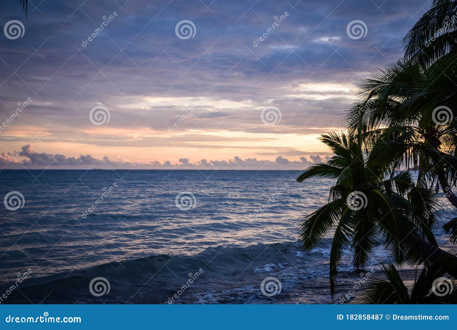 Coast of Samoa stock image. Image of tropics, samoa - 182858487