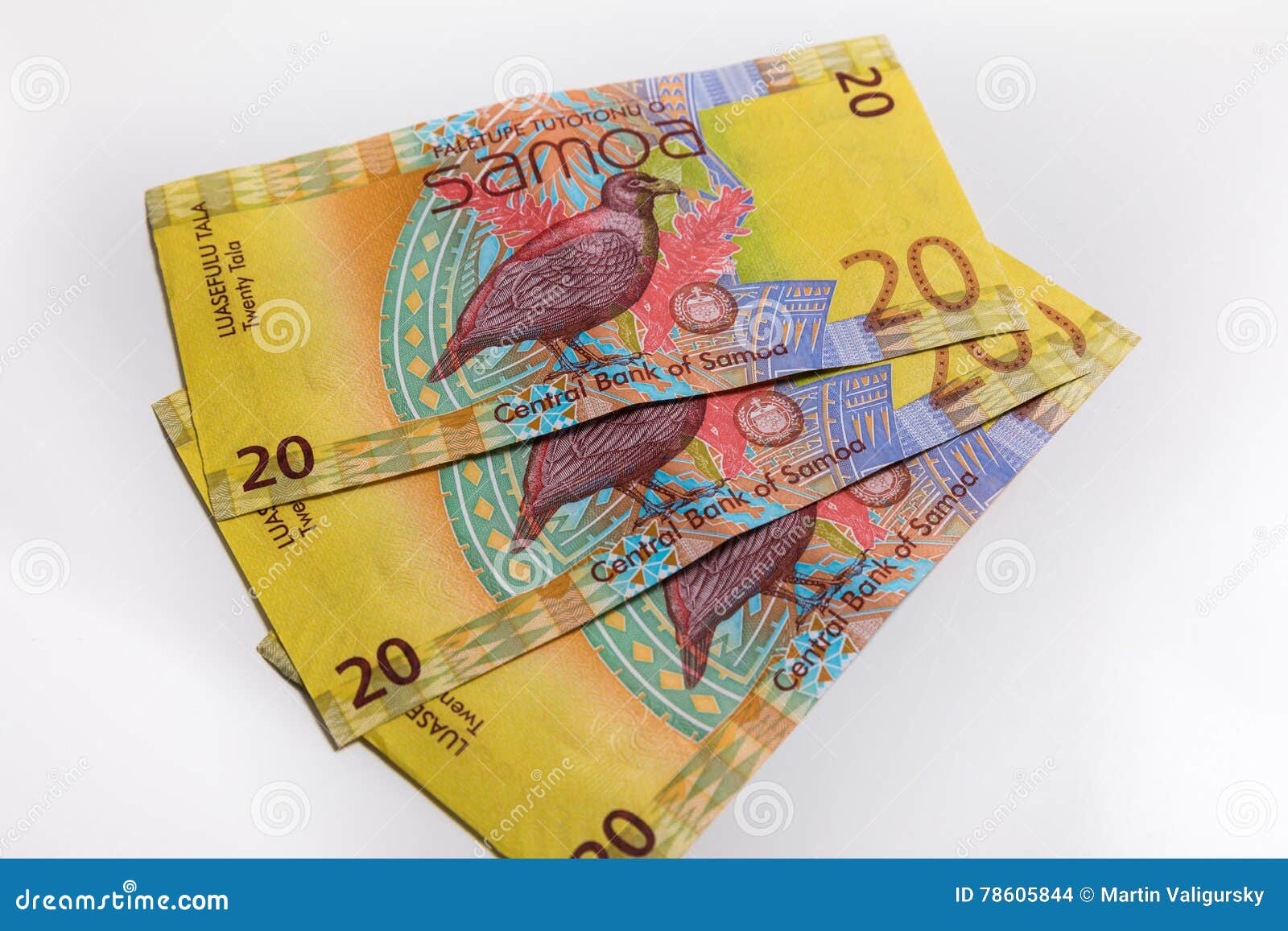 Samoa Tala Bank Notes Isolated Stock Photo - Image of samoa, investment ...