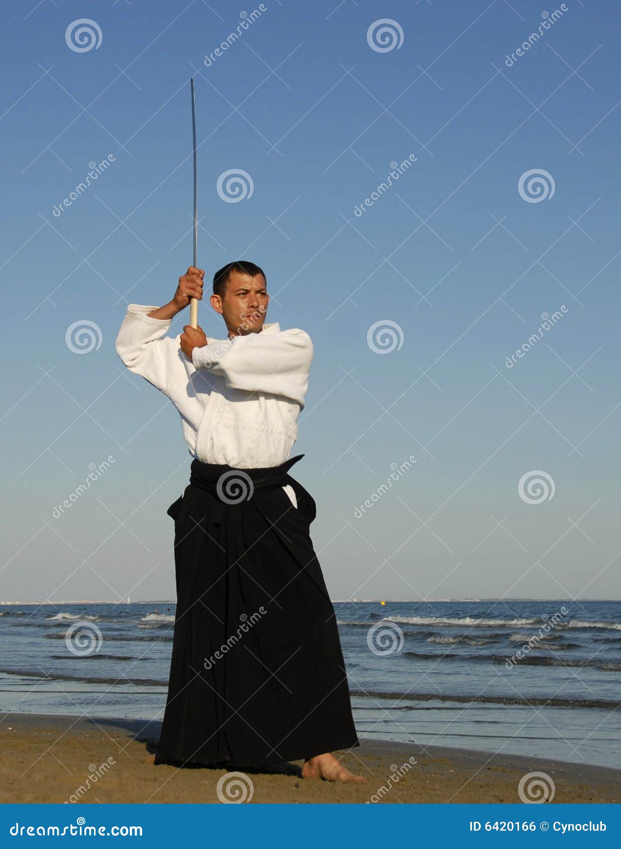 Samourai stock photo. Image of martial, adult, ninja, asia - 6420166
