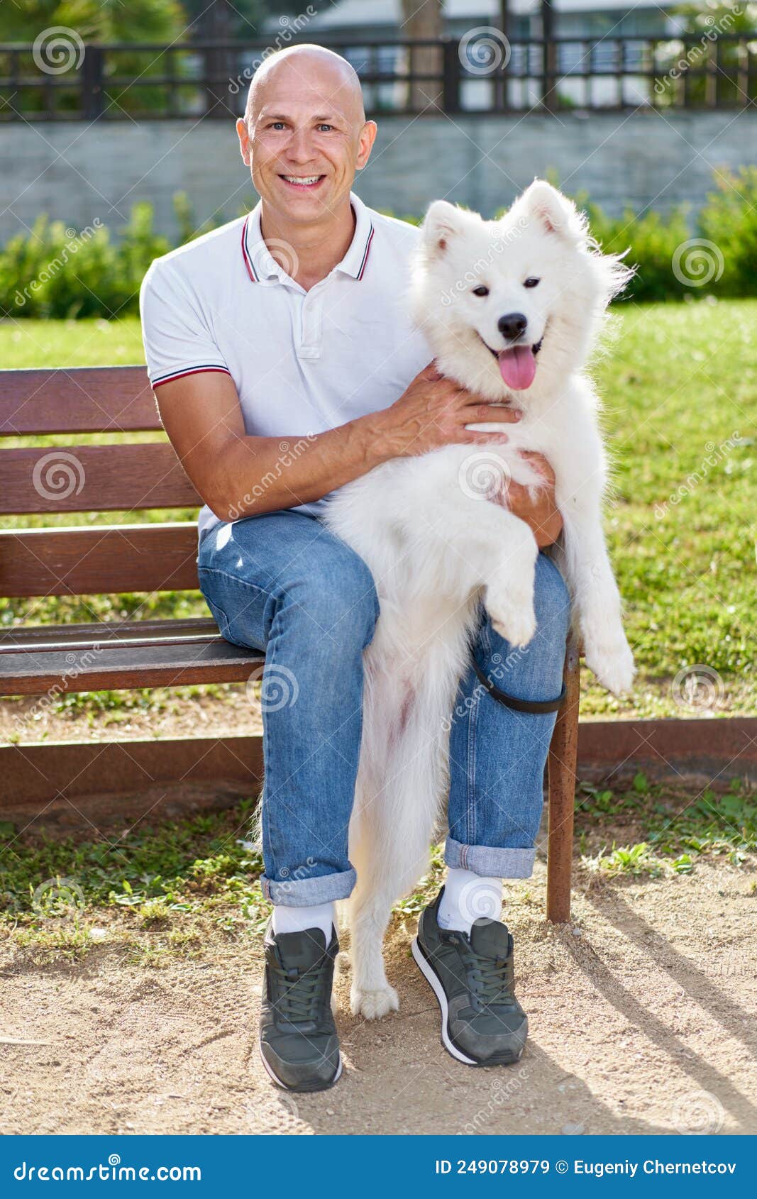 Samoyed Dog with Her Man Owner at the Park Playing Together Stock Image ...