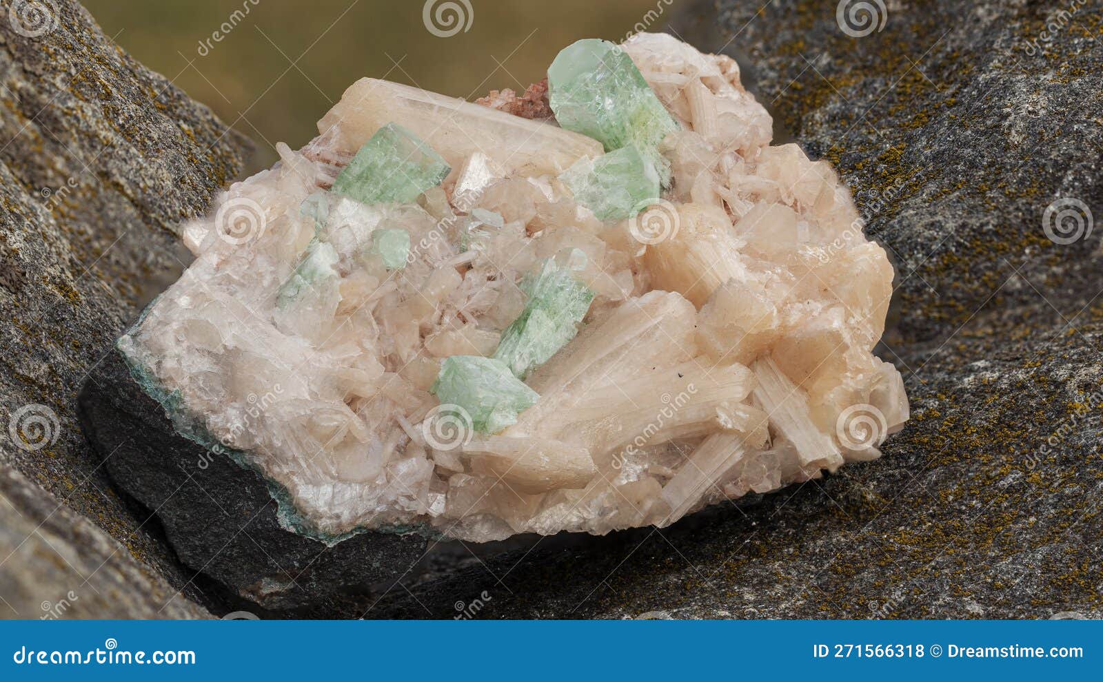 Sample of Apophyllite and Stilbite on a Black Background Stock Photo ...