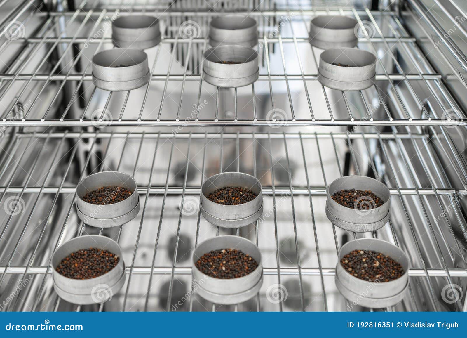 Sample Drying In Oven