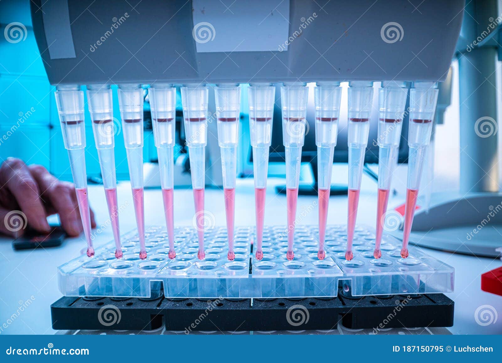 Sample of Biological Sample for DNA Analysis Stock Image - Image of ...