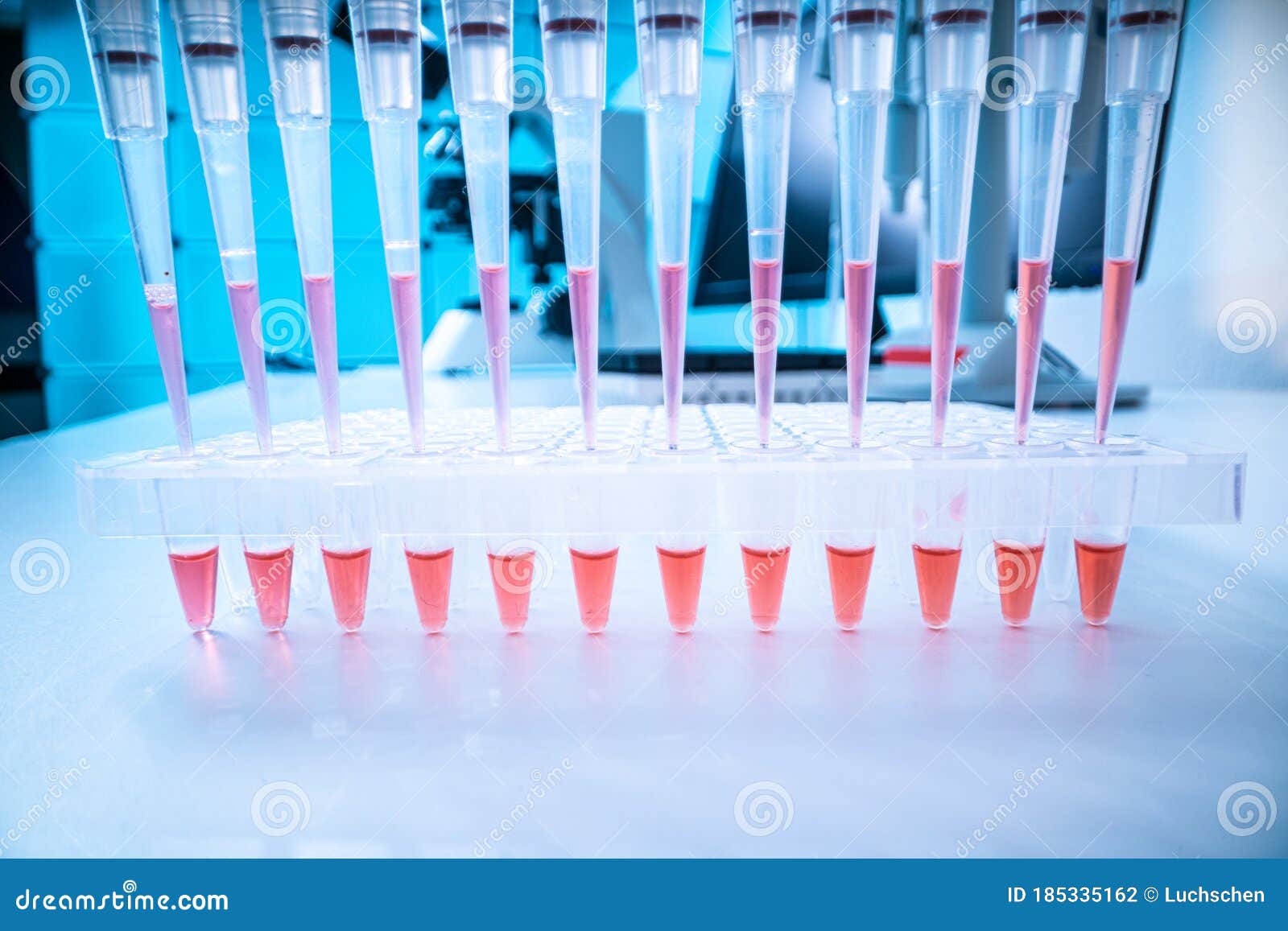 Sample of Biological Sample for DNA Analysis Stock Photo - Image of ...