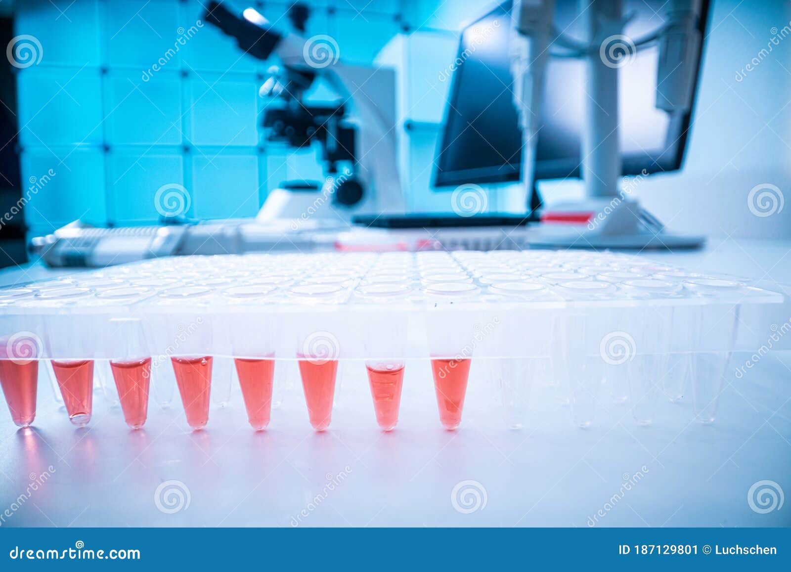 Sample of Biological Sample for DNA Analysis Stock Image - Image of ...