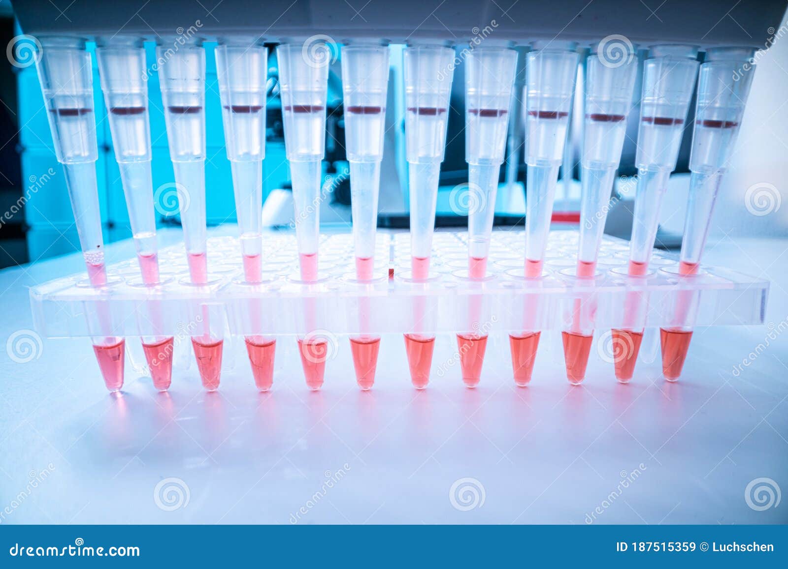 Sample of Biological Sample for DNA Analysis Stock Image - Image of ...
