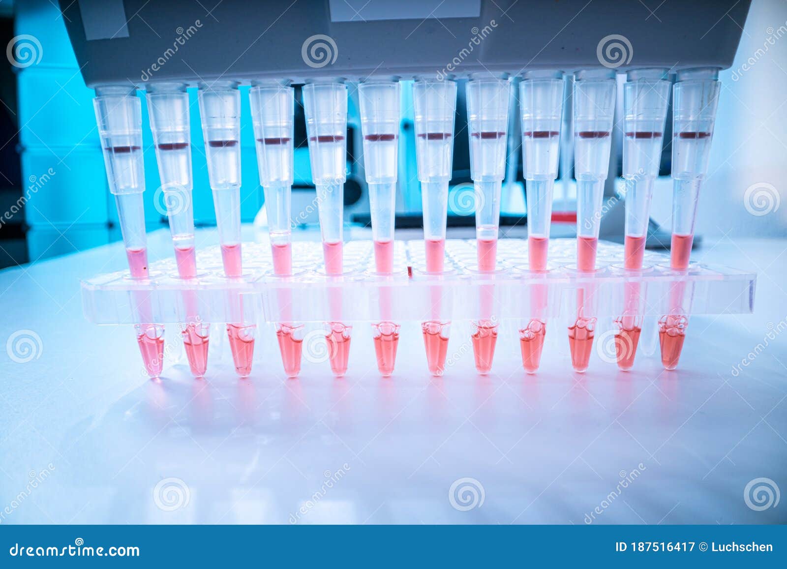 Sample of Biological Sample for DNA Analysis Stock Image - Image of ...